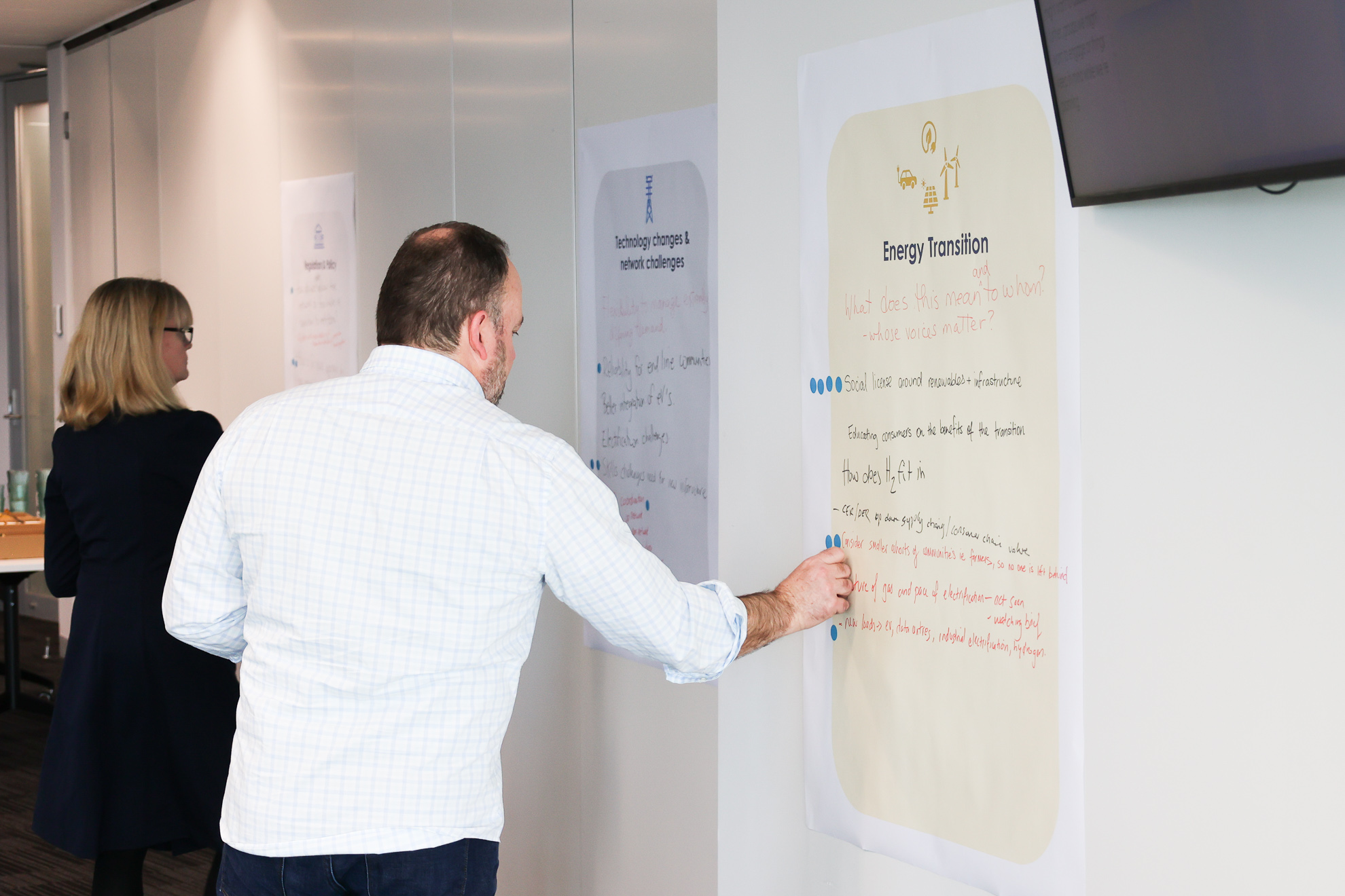 Transmission Stakeholder Advisory Panel | Transmission Revenue Reset ...